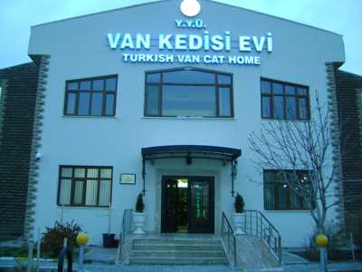 Van Kedisi Evi